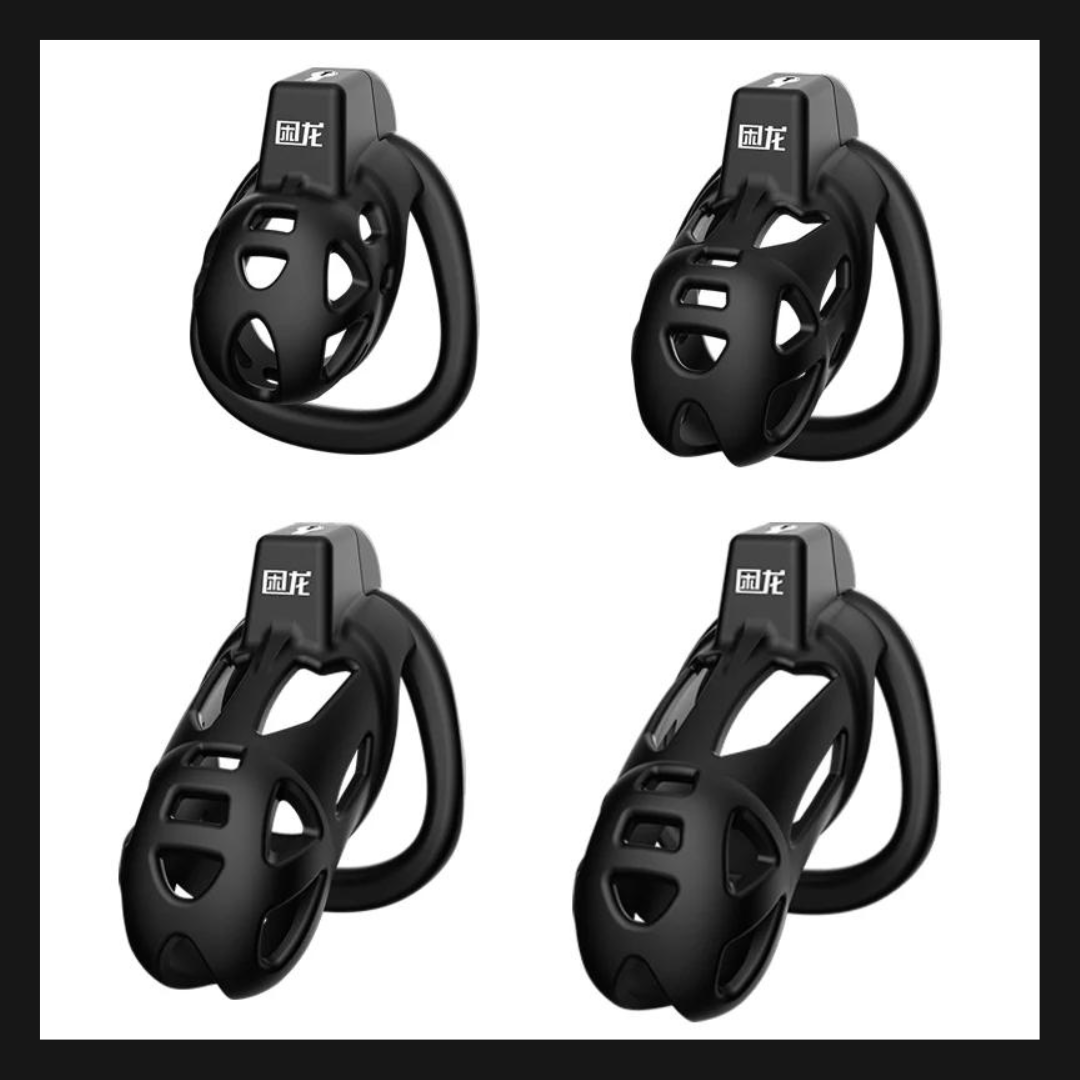 Trapped Dragon Male Chastity Cage with Lockbox – Gynarchy Shops