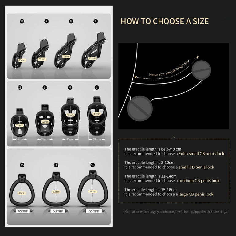 Trapped Dragon Male Chastity Cage with Lockbox – Gynarchy Shops