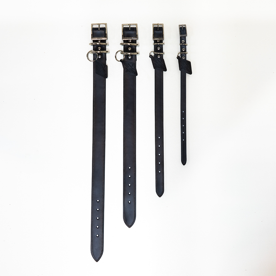 Collared – Gynarchy LLC